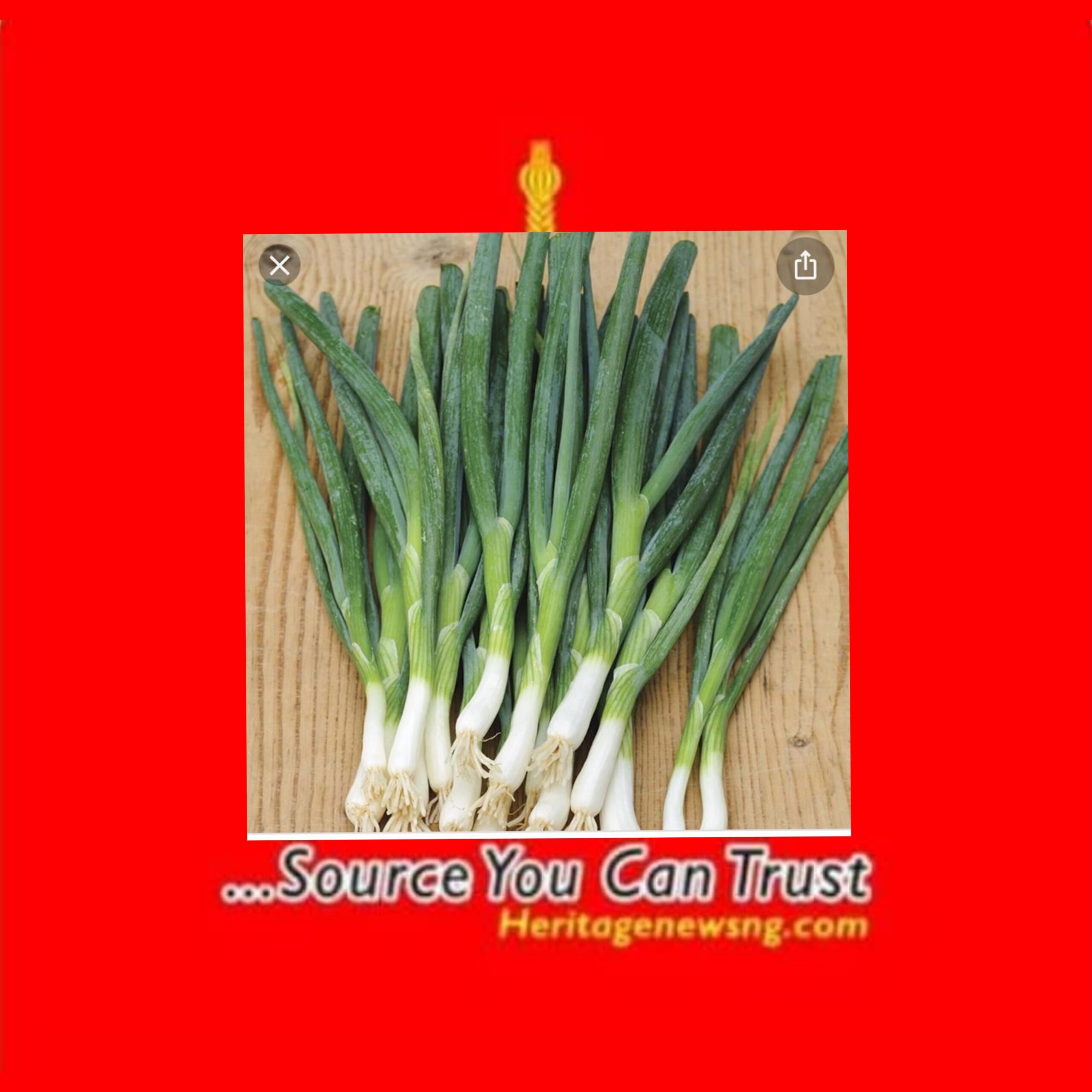 Herbal Organic! How To Treat Prostrate, Using Spring Onions/Onion Leaf ...